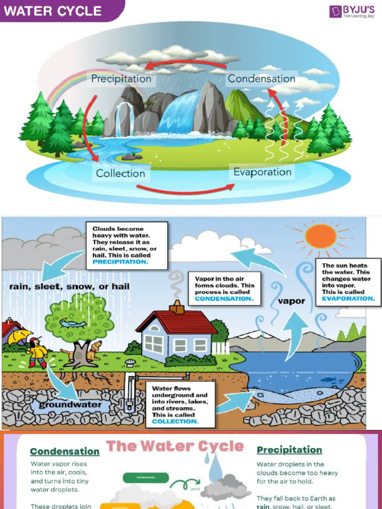 Water Cycle | PDF