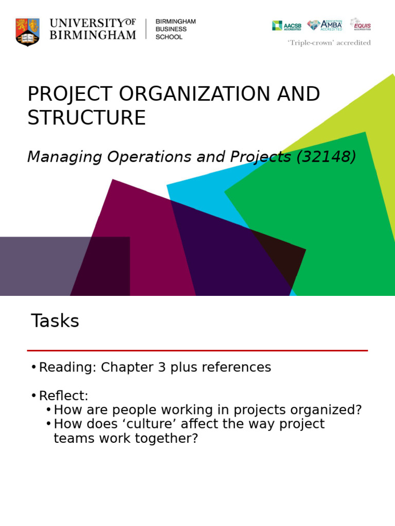 Project Organization and Structure | PDF | Leadership | Organizational Structure