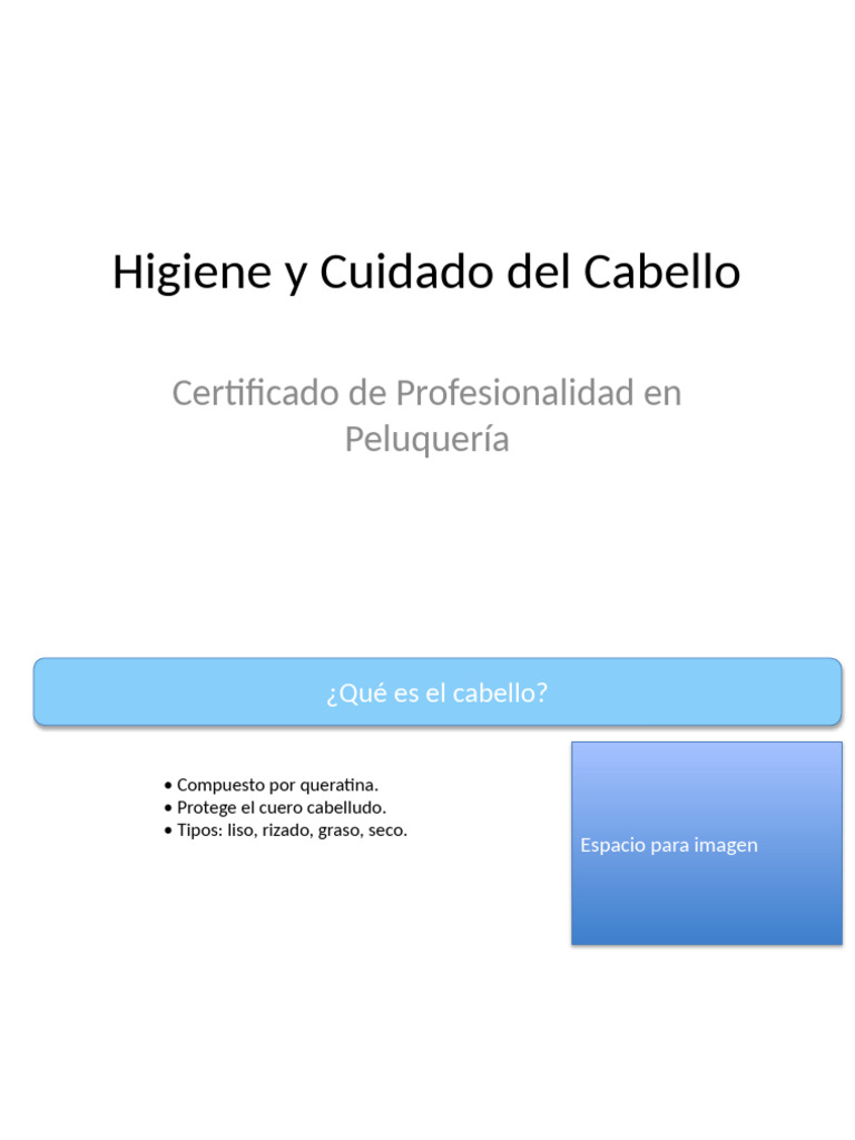 Higiene y Cuidado Cabello Colorido | PDF