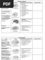 Aphasia Short Term Goals Long Term Goals Evaluation Assessment WriteUp ...