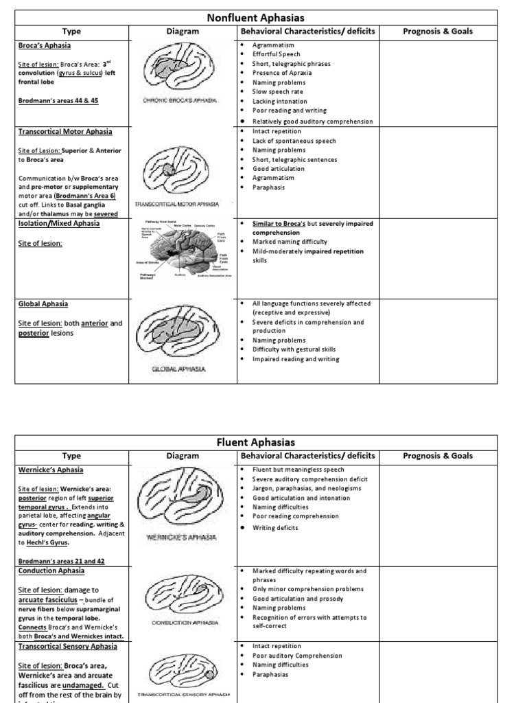 Aphasia Cheatsheet | PDF | Aphasia | Neuroanatomy