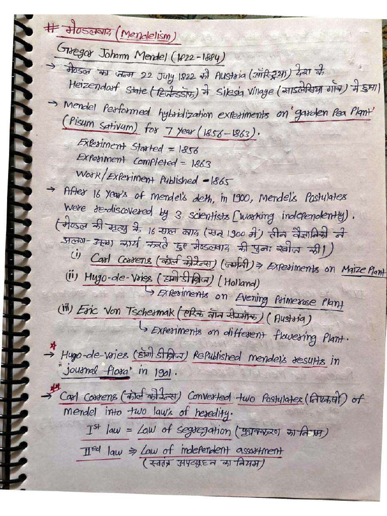 Allen Chemistry Module 1 6complete | PDF
