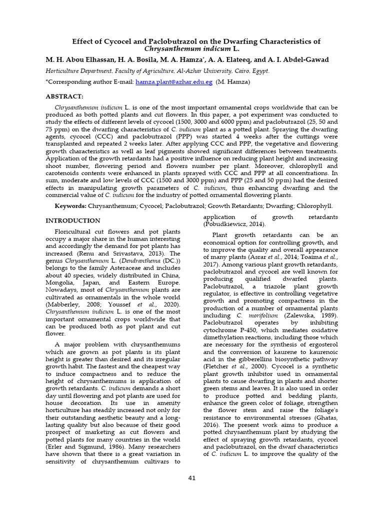 Effects of Growth Retardants on Chrysanthemum | PDF | Analysis Of ...