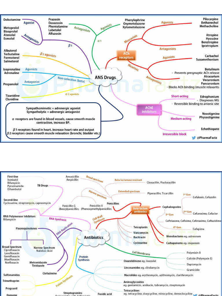 mind_maps | PDF