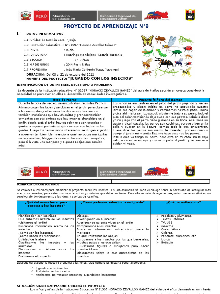 Proyecto "Jugando con los Insectos" | PDF | Aprendizaje | Educación de ...