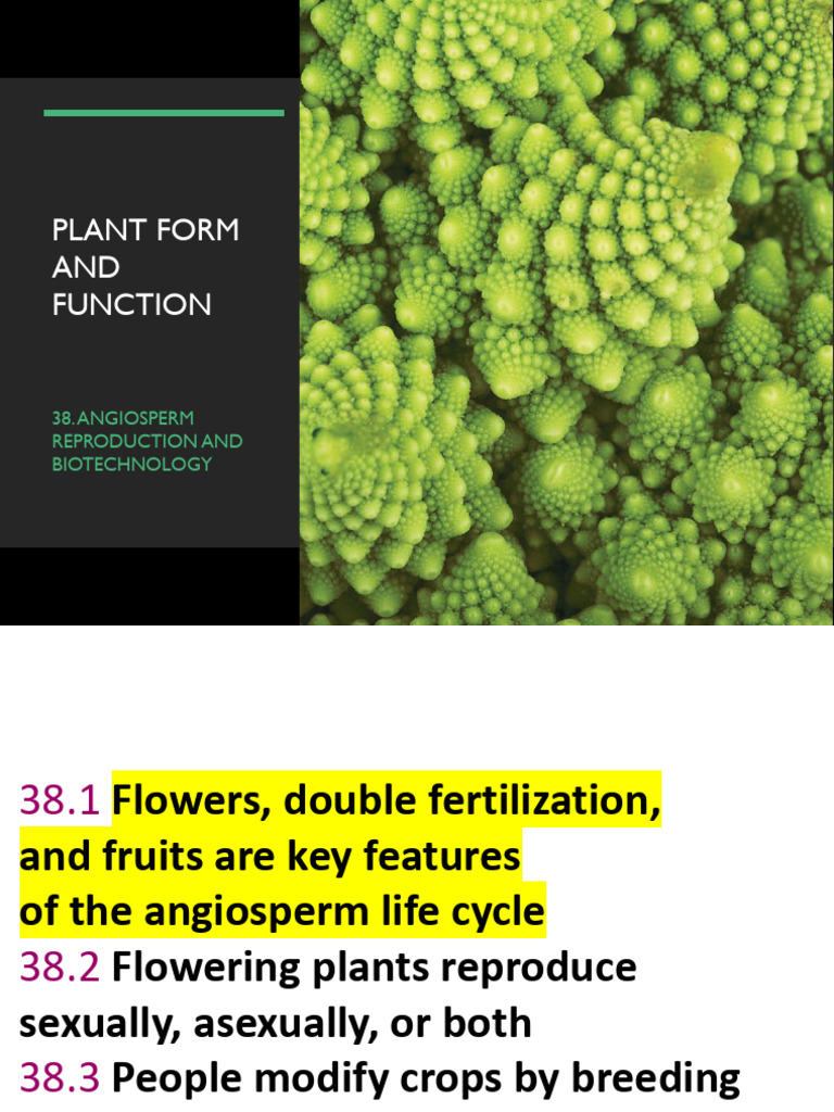 Angiosperm Reproduction and Biotechnology | PDF