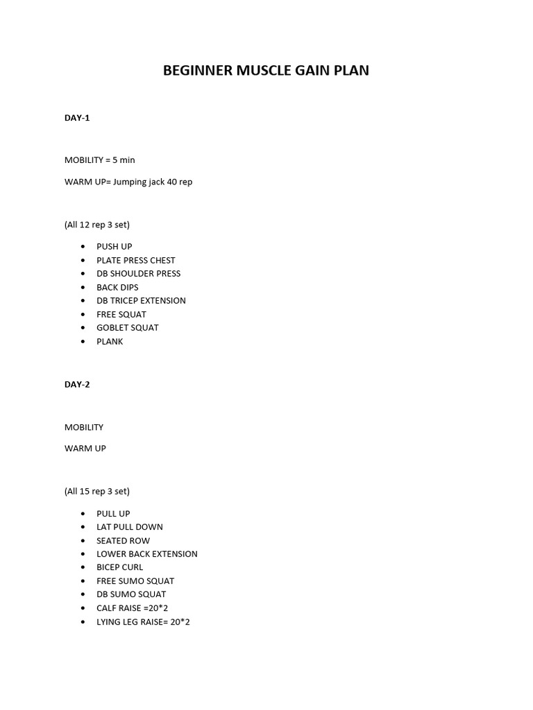Beginner Muscle Gain Plan | PDF
