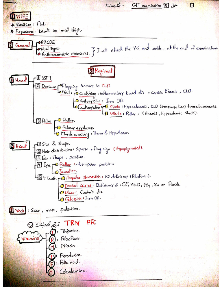 GIT Examination | PDF