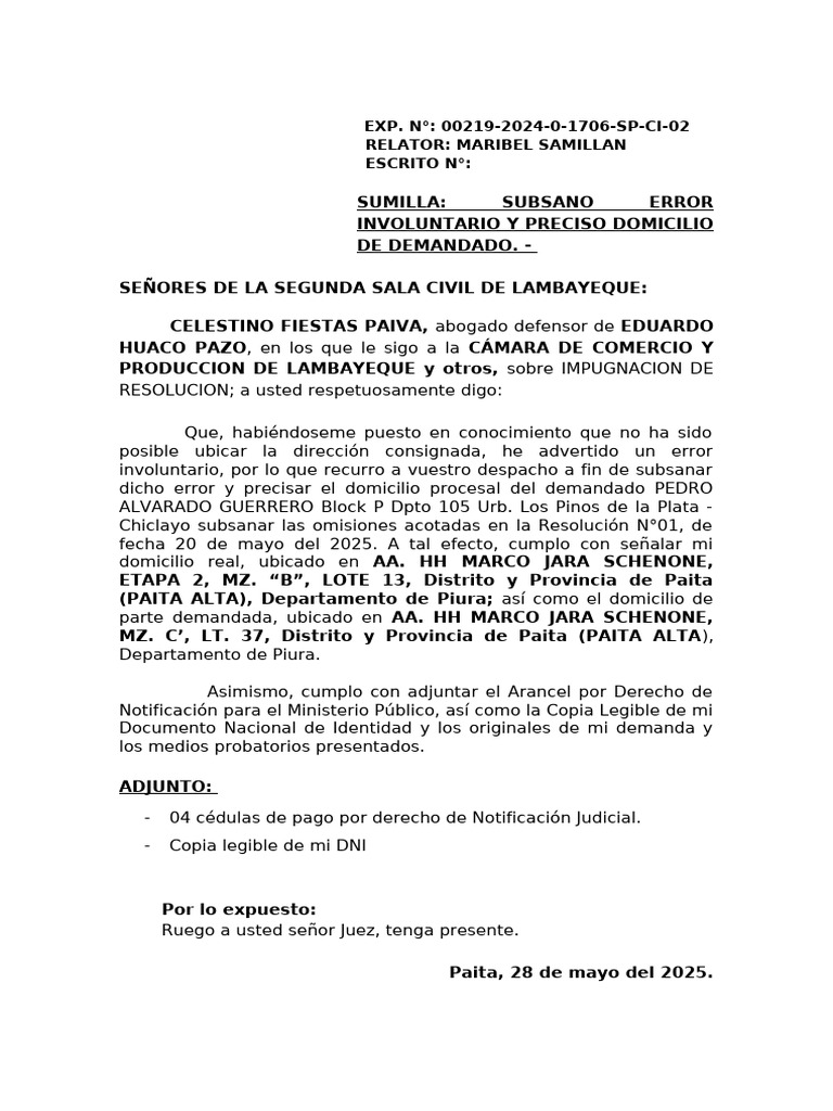 Subsano Error Involuntario y Preciso Domicilio Del Demandado Huaco Pazo | PDF