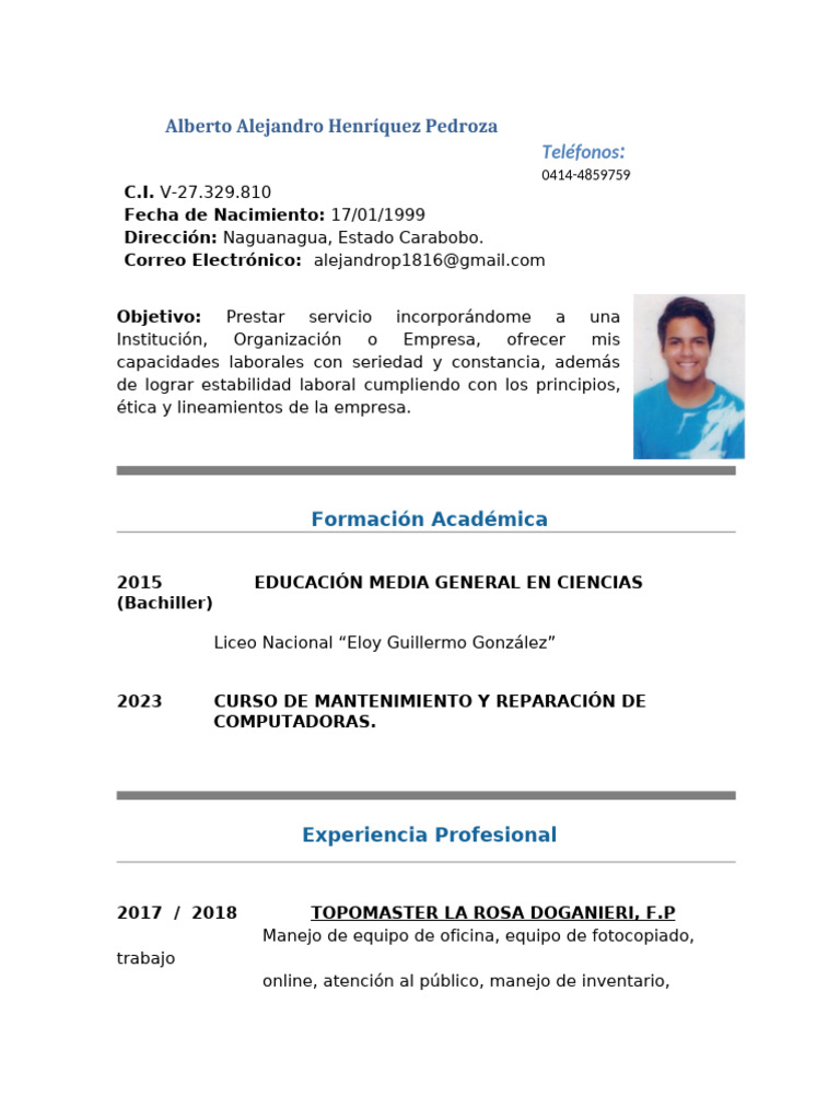 Curriculum ALEJANDRO | PDF