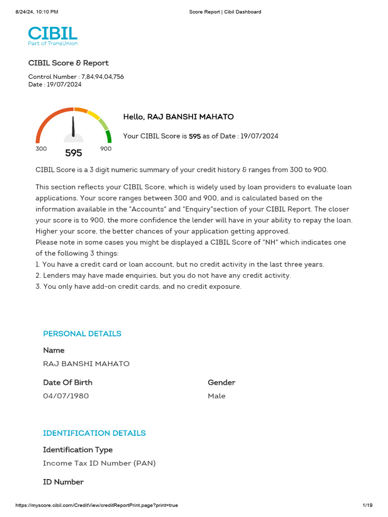 CIBIL Score Report for Raj Banshi Mahato | PDF | Credit | Finance ...