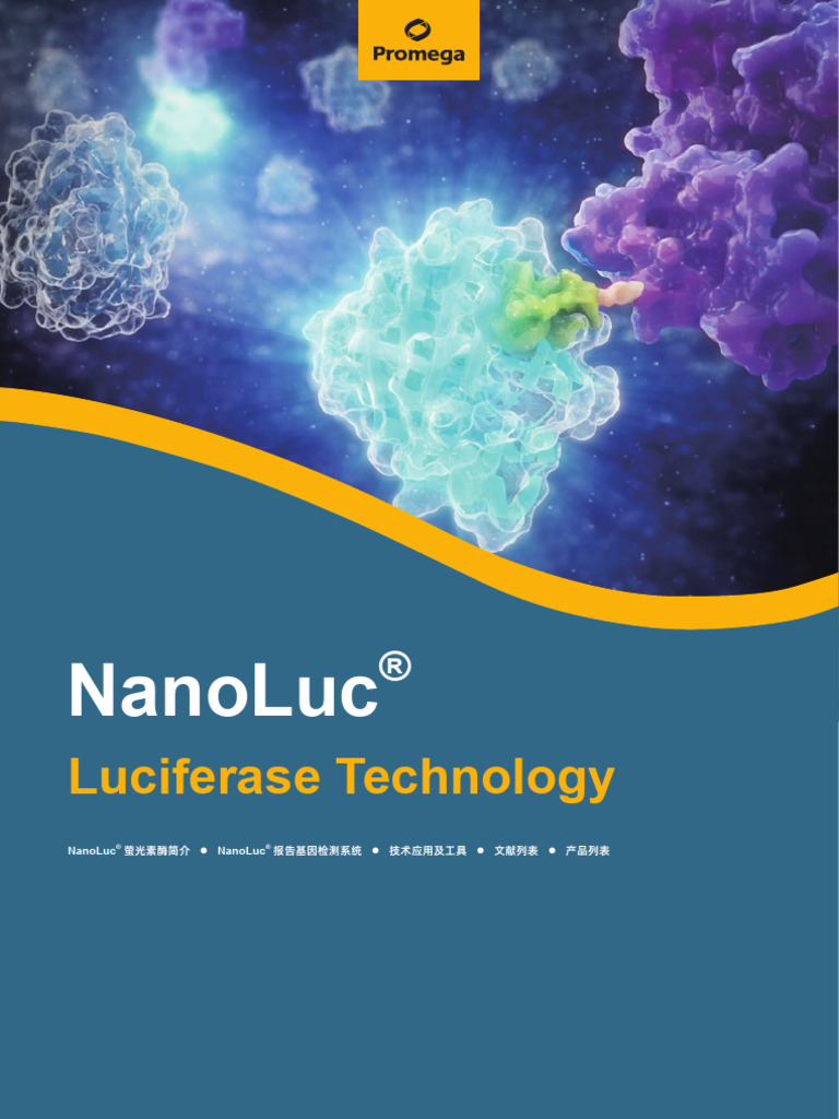 Nanoluc萤光素酶技术 2022版 2022 6 23 电子版加链接 - 20220623170746 - 5350 | PDF ...