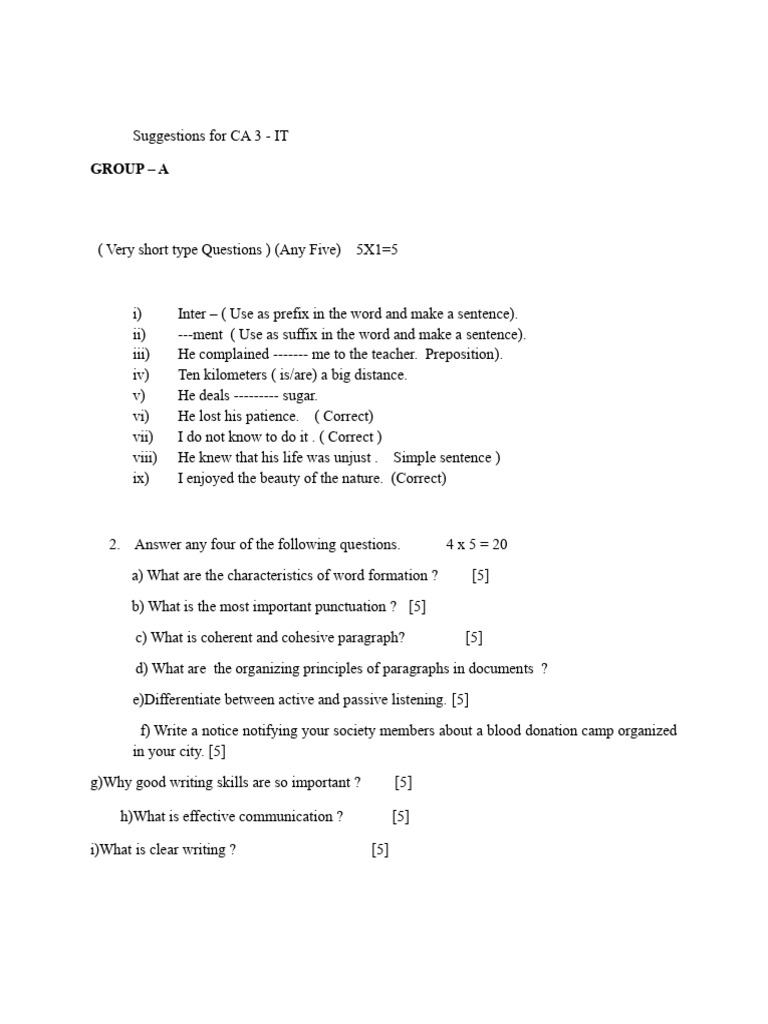 CA3 Suggestions IT | PDF