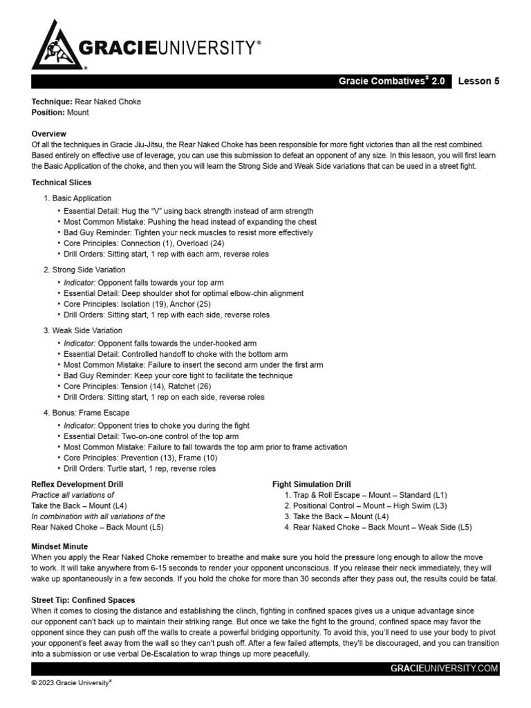 Lesson 5 - Rear Naked Choke | PDF | Brazilian Jiu Jitsu