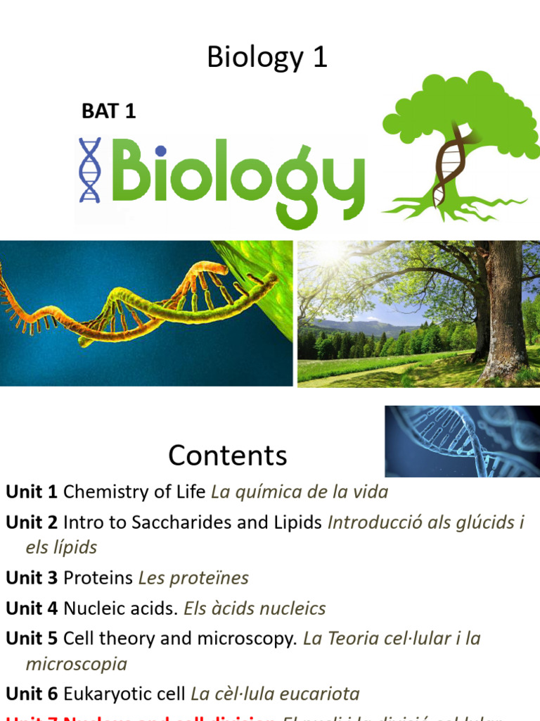 BAT 1 Biology Unit 7.b The Nucleus and Cell Division | PDF | Cell ...