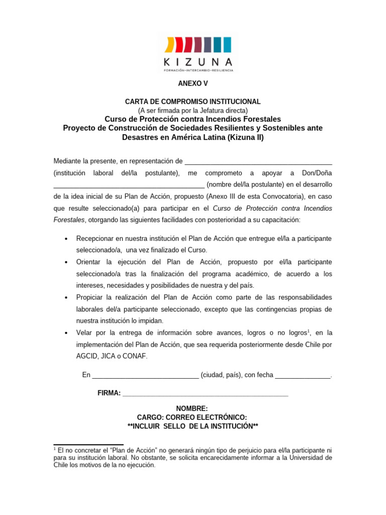 Anexo V - Carta de Compromiso Institucional | PDF