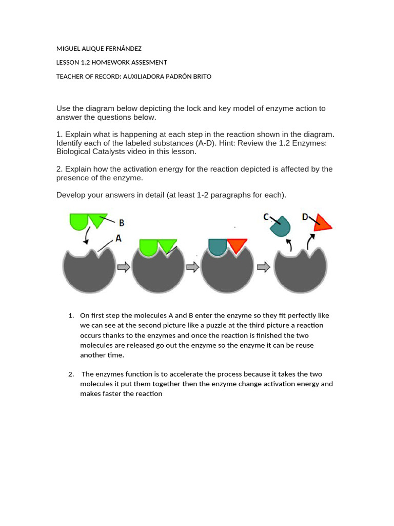 Homework Assesment 1 4 Biology Pdf