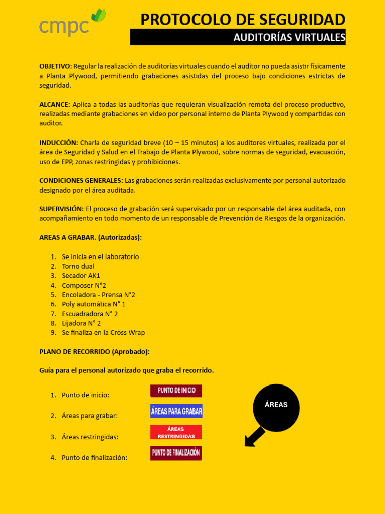 Protocolo de Seguridad. Auditorias Virtuales. v01-2025 | PDF