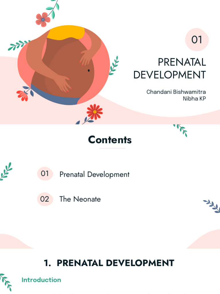 Psy 503 - DP - Early Stages | PDF | Prenatal Development | Zygosity