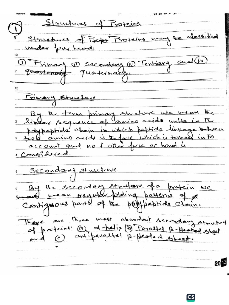 12th Structures Of Proteins Notes Pdf