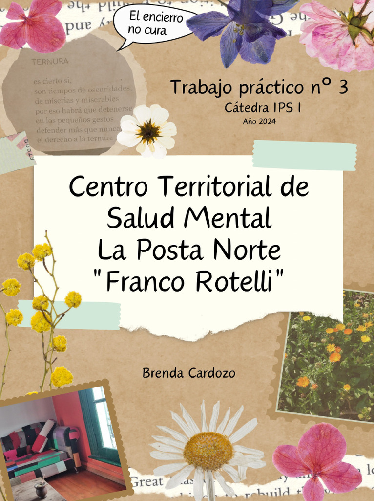 Cardozo Brenda TP3 | PDF | Trabajo Social | Salud mental