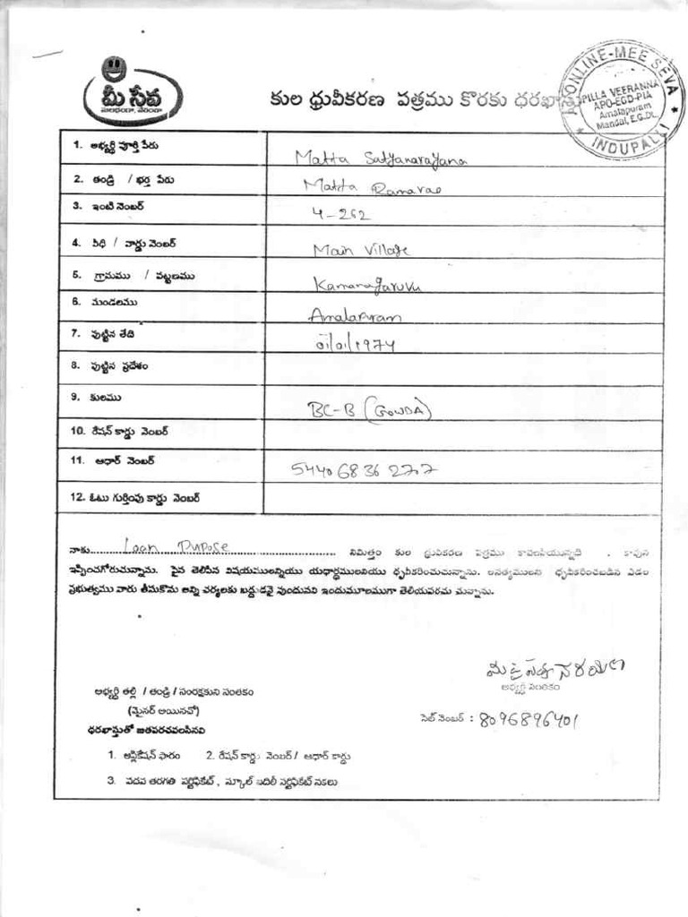 Caste App | PDF