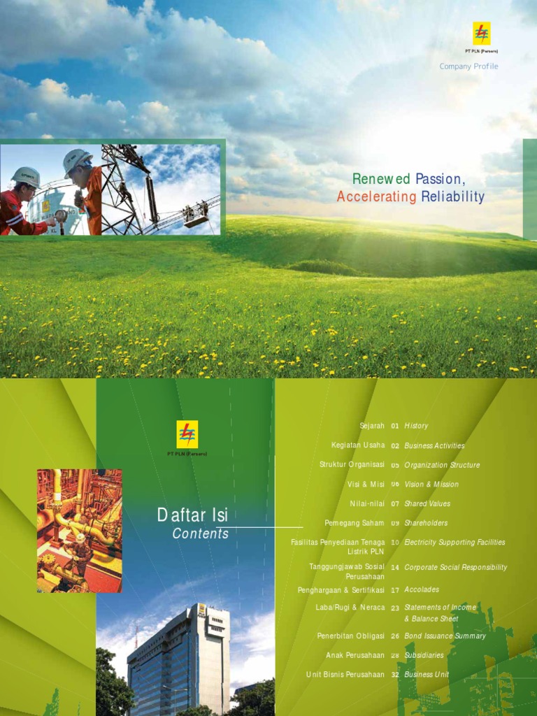 Company Profile PLN 2010 | PDF