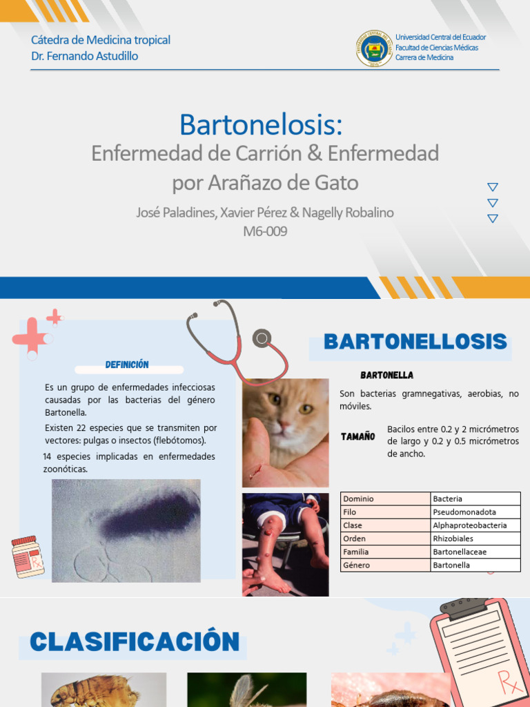 Bartonelosis Medicina Tropical | PDF | Enfermedades y trastornos ...