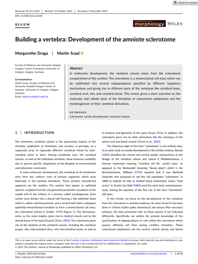 Journal of Morphology - 2023 - Draga - Building A Vertebra Development ...