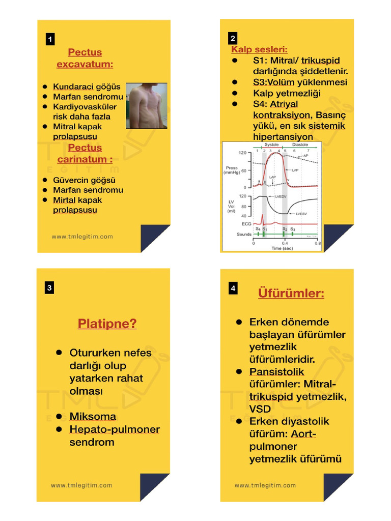 2020 Subat Dahiliye Full Kartlar Ve Spotlar | PDF