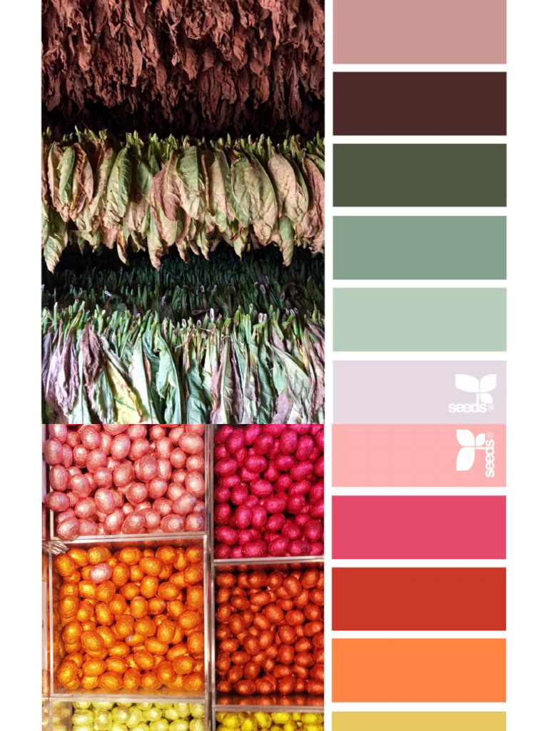 Paleta Colores3 | PDF