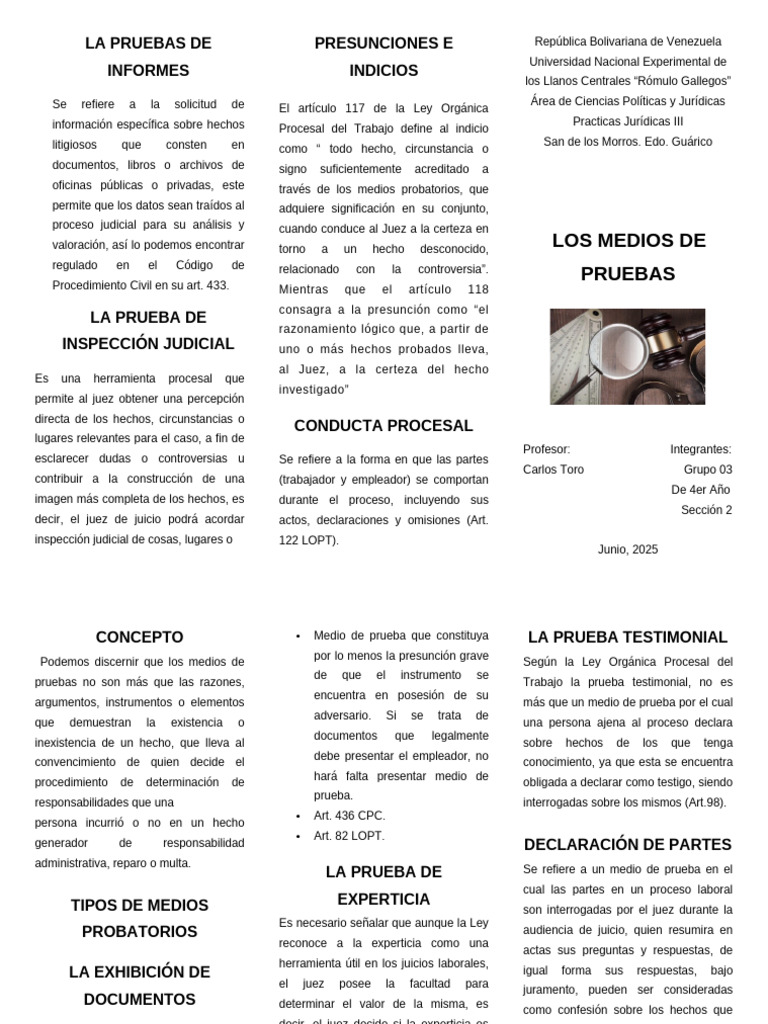 Los Medios de Pruebas Laboral | PDF | Ley procesal | Procedimiento Civil