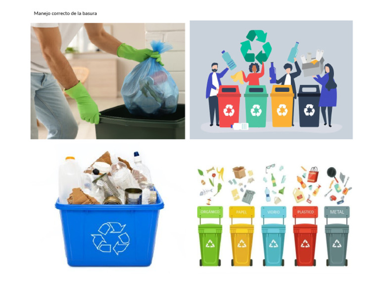 Manejo Correcto de La Basura | PDF