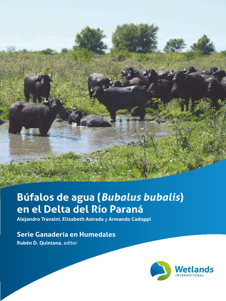 Búfalos de Agua en El Delta Del Río Paraná | PDF | Ganado | Animales ...
