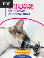 Tratamiento de ERC en Gatos: Guía 2019 | PDF | Medicamentos con receta ...