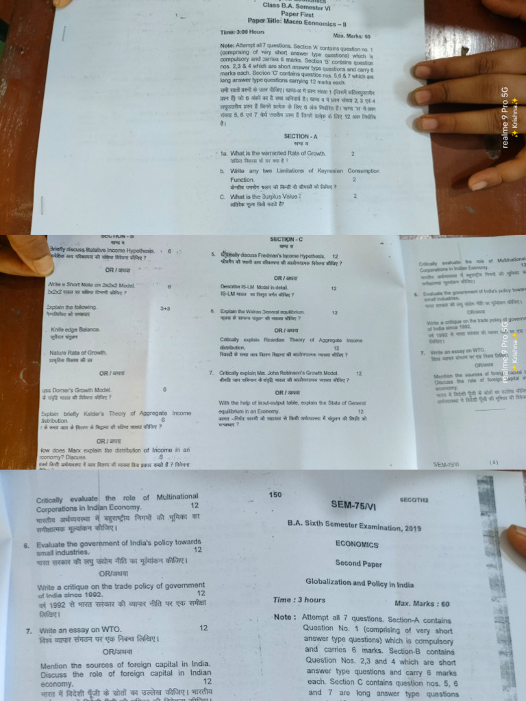 Economics (PYQ) Semester 6th | PDF