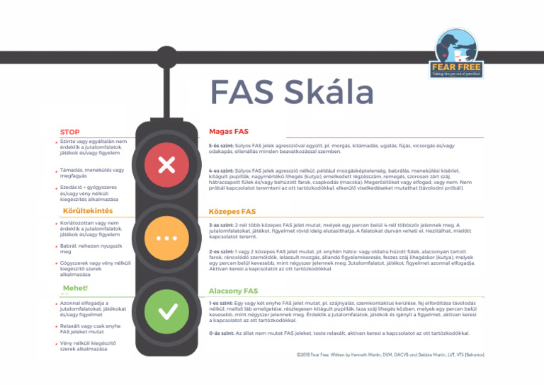 Fas Scale Hun | PDF