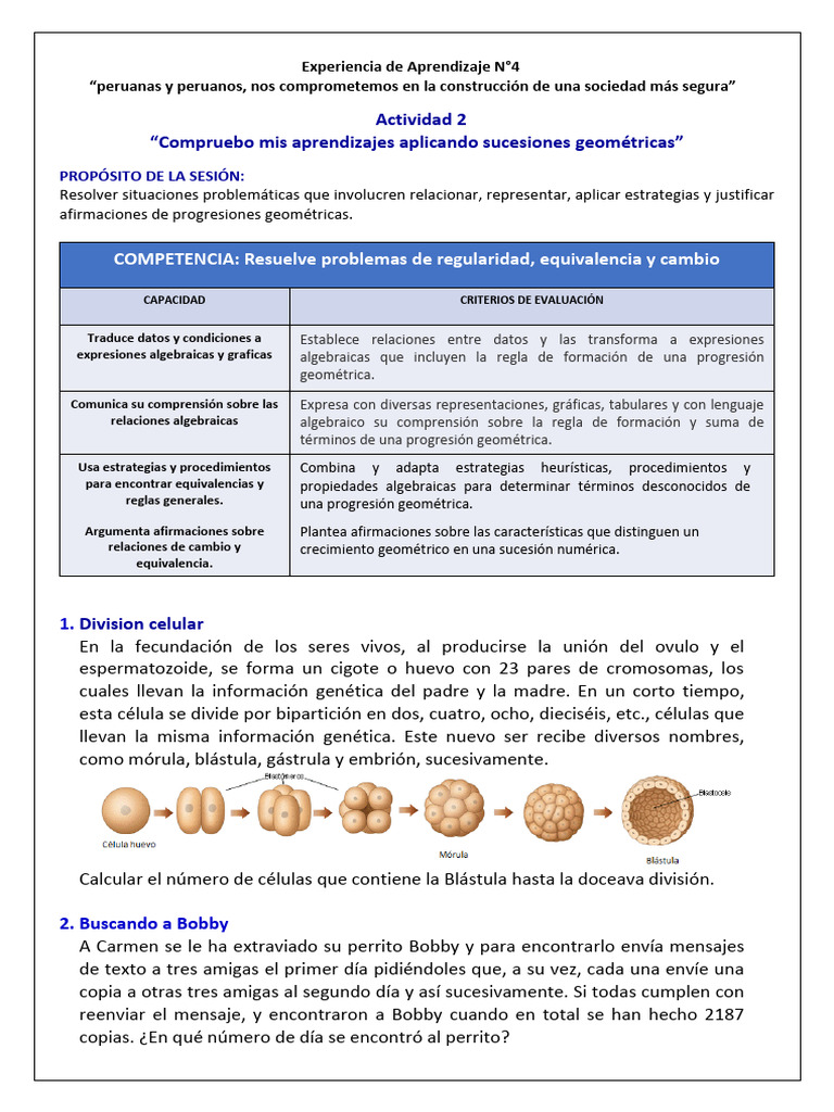 ACT 2-FICHA-EDA 4 | PDF | Embrión | Biología