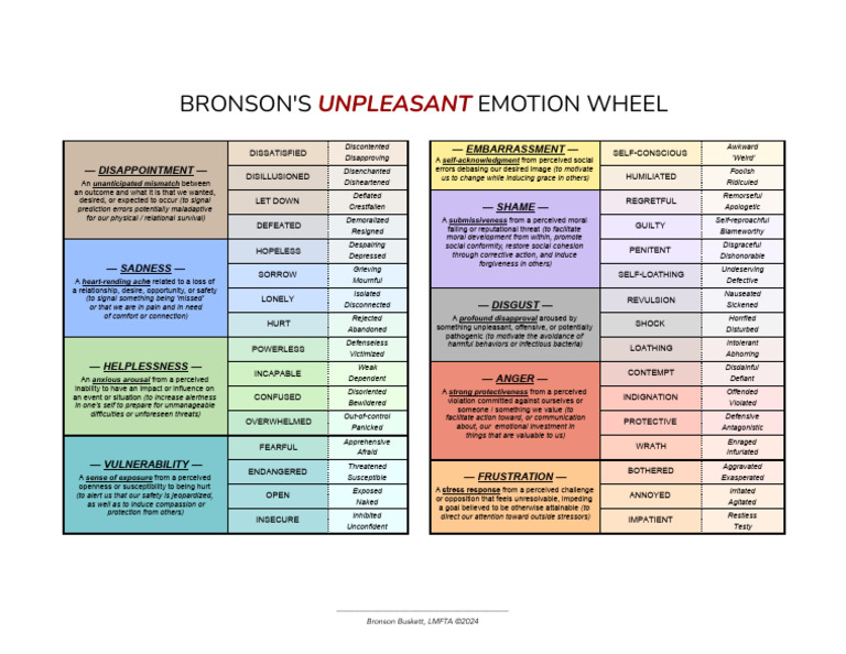 Bronson's Emotion Wheel: Frustration Insights | PDF | Disgust | Social ...