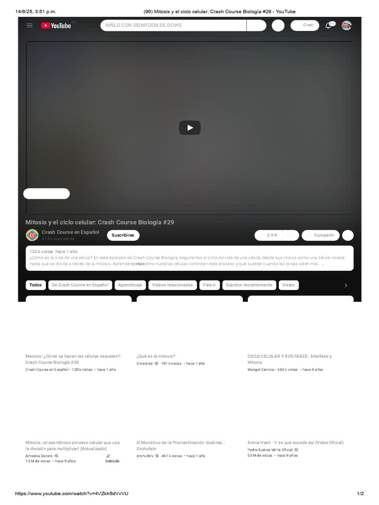 Mitosis y El Ciclo Celular - Crash Course Biología #29 - YouTube | PDF ...