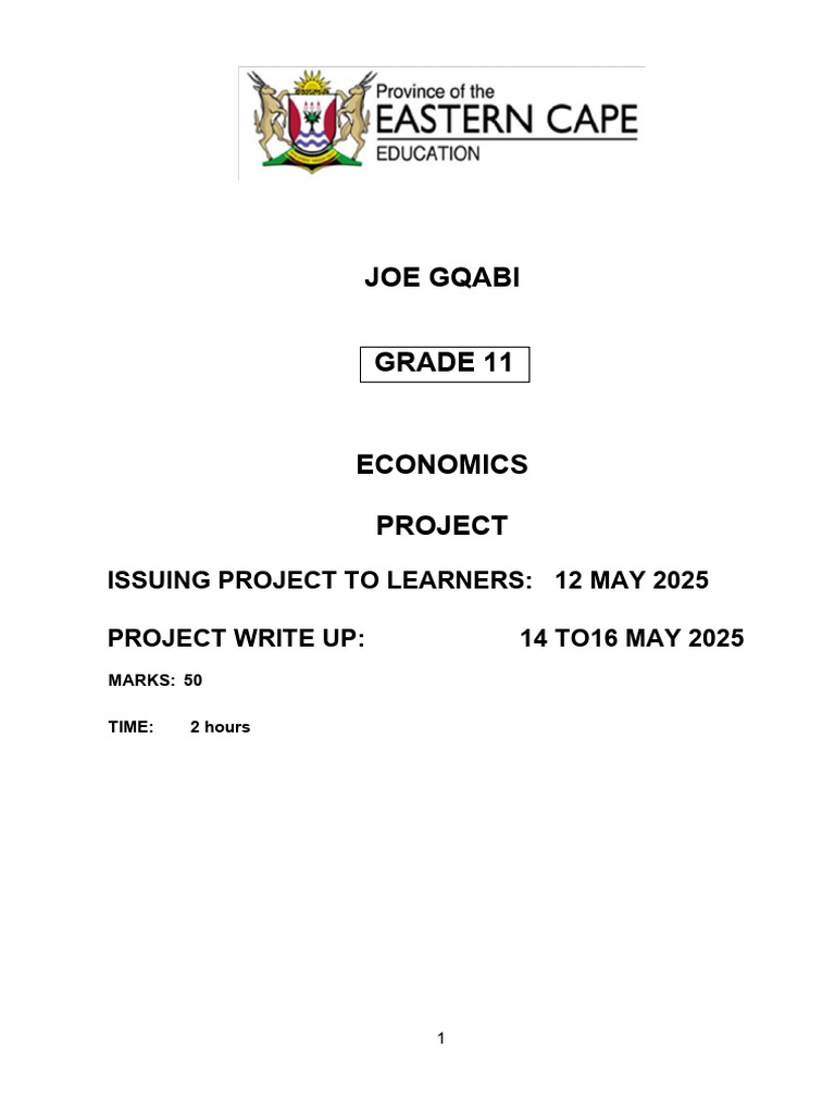 Grade 11 Economics Project 2025 | PDF