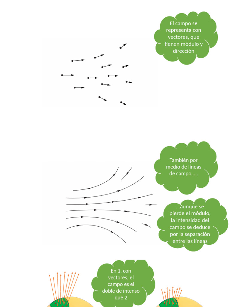 Lineas de Campo - para Entender El Flujo | PDF