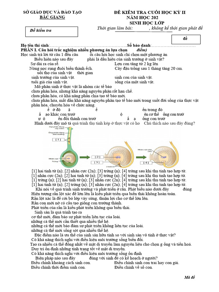 SINH HỌC 11 THPT Mã 411 | PDF