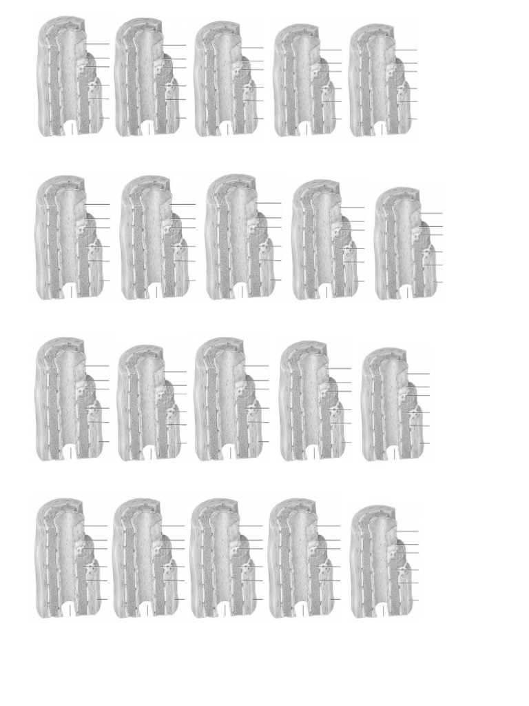 Esque Art | PDF