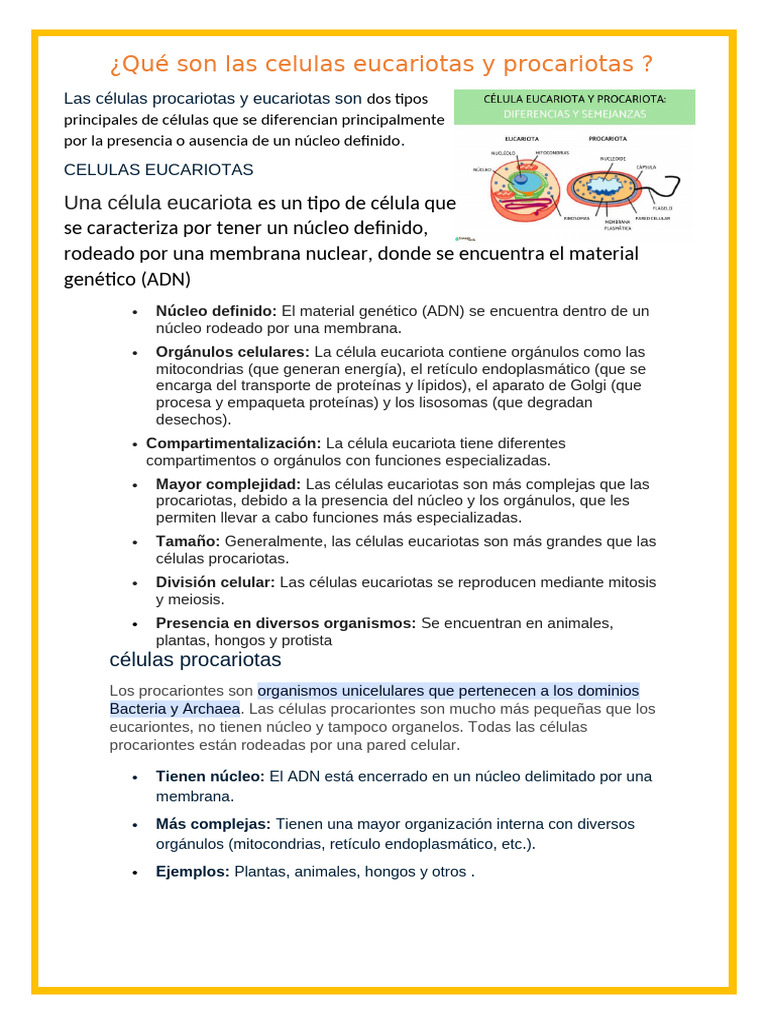 Qué Son Las Celulas Eucariotas Y Procariotas Pdf Biología Celular 2793