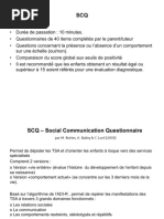 Descriptif SCQ + Cotation | PDF | Santé mentale | Médecine clinique