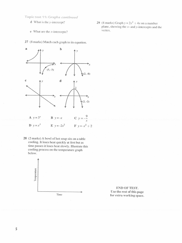 Year 10 Adv Graphs & Functions Drill 8 | PDF