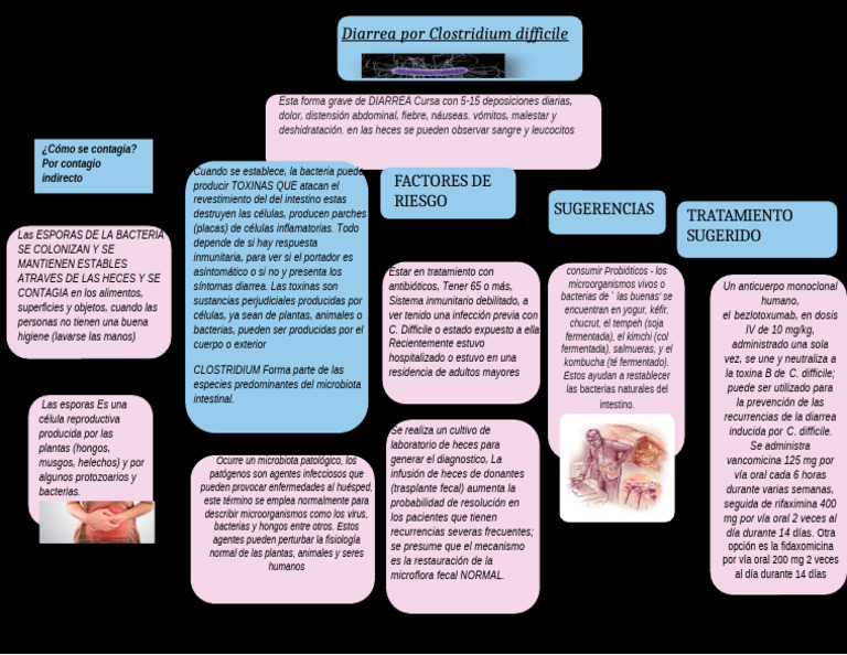 Microbiología Diarrea Por Clostridium Difficile | PDF | Diarrea ...