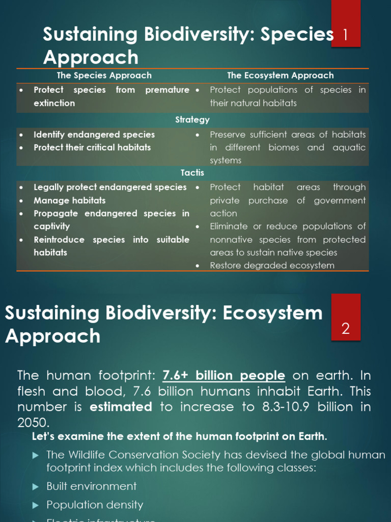 Sustaining Biodiversity Summary | PDF | Ecosystem | Biodiversity