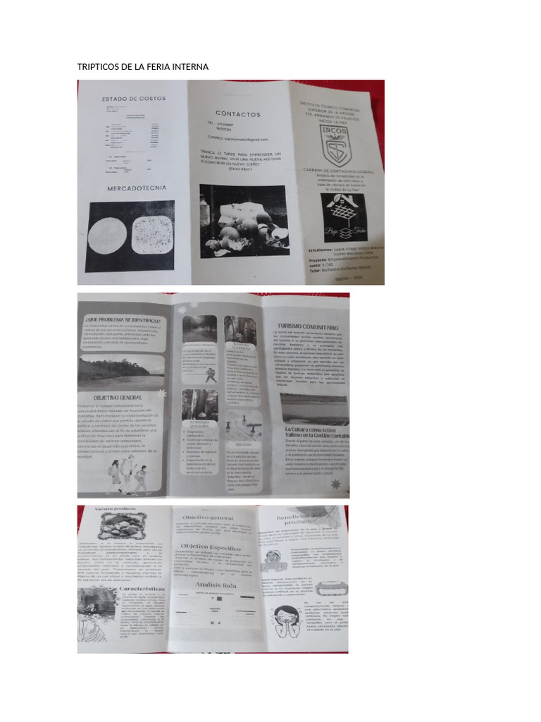 Tripticos de La Feria Interna | PDF
